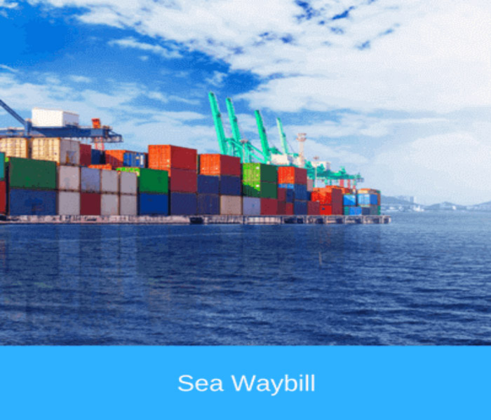 SWB là gì? Tổng hợp những thông tin quan trọng về SWB